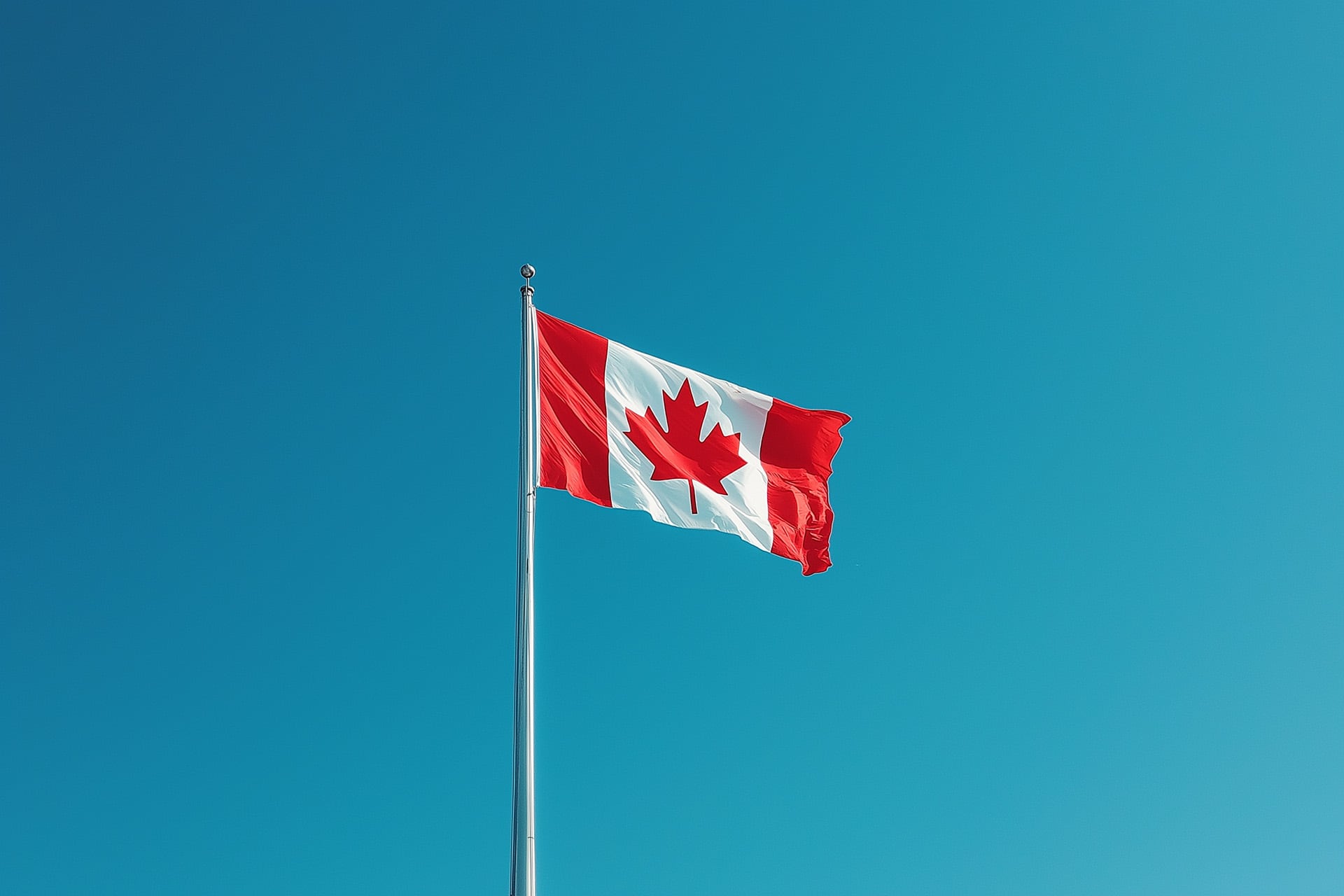 IMC welcomes the Government of Canada’s announcement on the Launch of ...